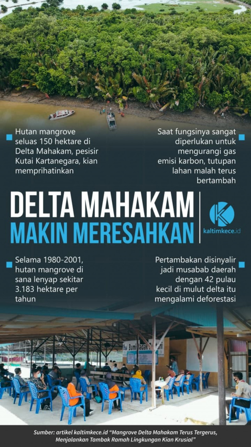 Infografik Delta Mahakam Makin Meresahkan - Kaltim Kece