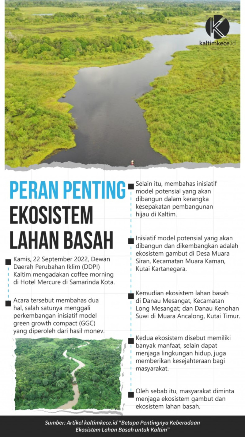 Infografik Peran Penting Ekosistem Lahan Basah - Kaltim Kece