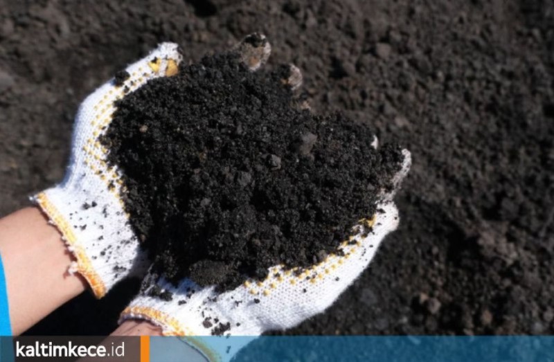 PLN Berhasil Kelola FABA, Jadi Material Batako hingga Tanggul Laut - Kaltim Kece