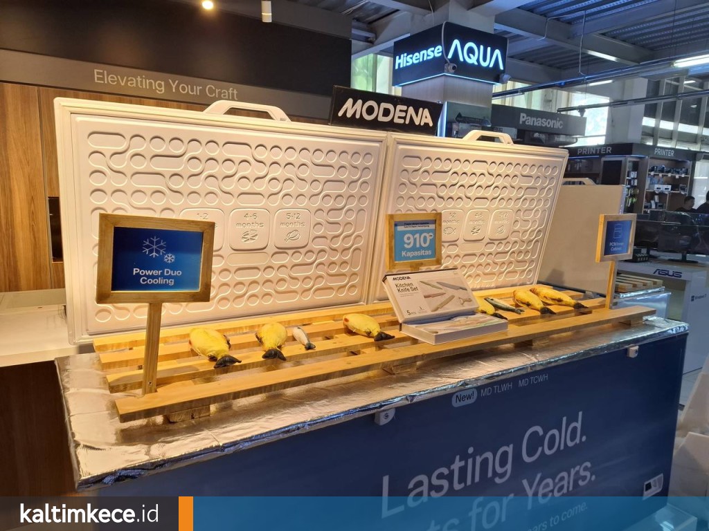 MODENA Luncurkan Chest Freezer Canggih, Solusi Andal untuk Berbagai ...